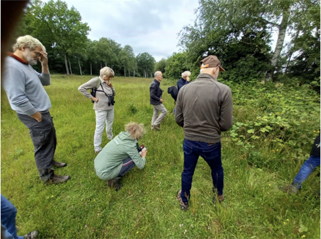 Schermafbeelding 2022-07-22 om 13.54.30 - Landschapsbeheer Drenthe