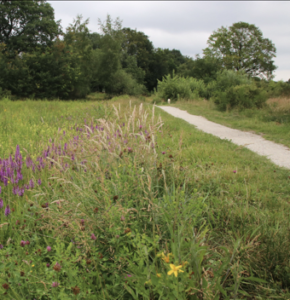 Landschapsbeheer Drenthe | Zorg voor het landschap, Drenthe