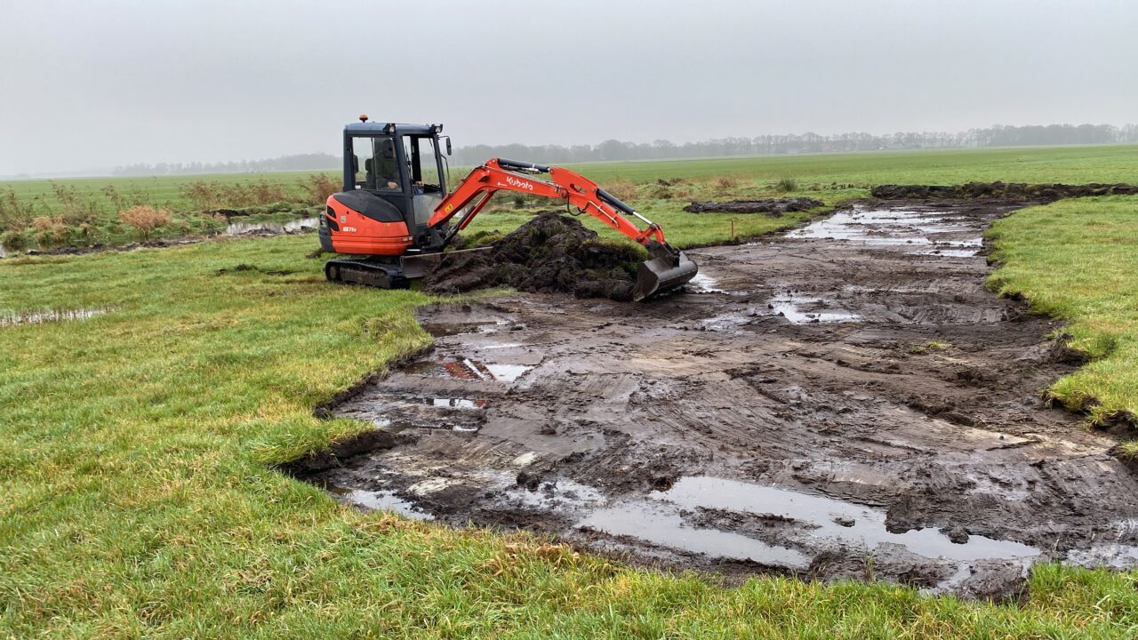 Kansrijke weidevogelgebieden - Landschapsbeheer Drenthe