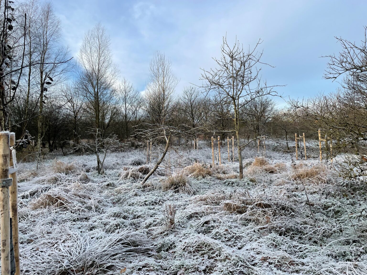 Landschapsbeheer Drenthe | Zorg voor het landschap, Drenthe