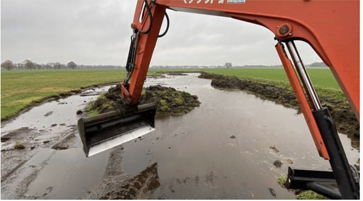 Kansrijke weidevogelgebieden - Landschapsbeheer Drenthe