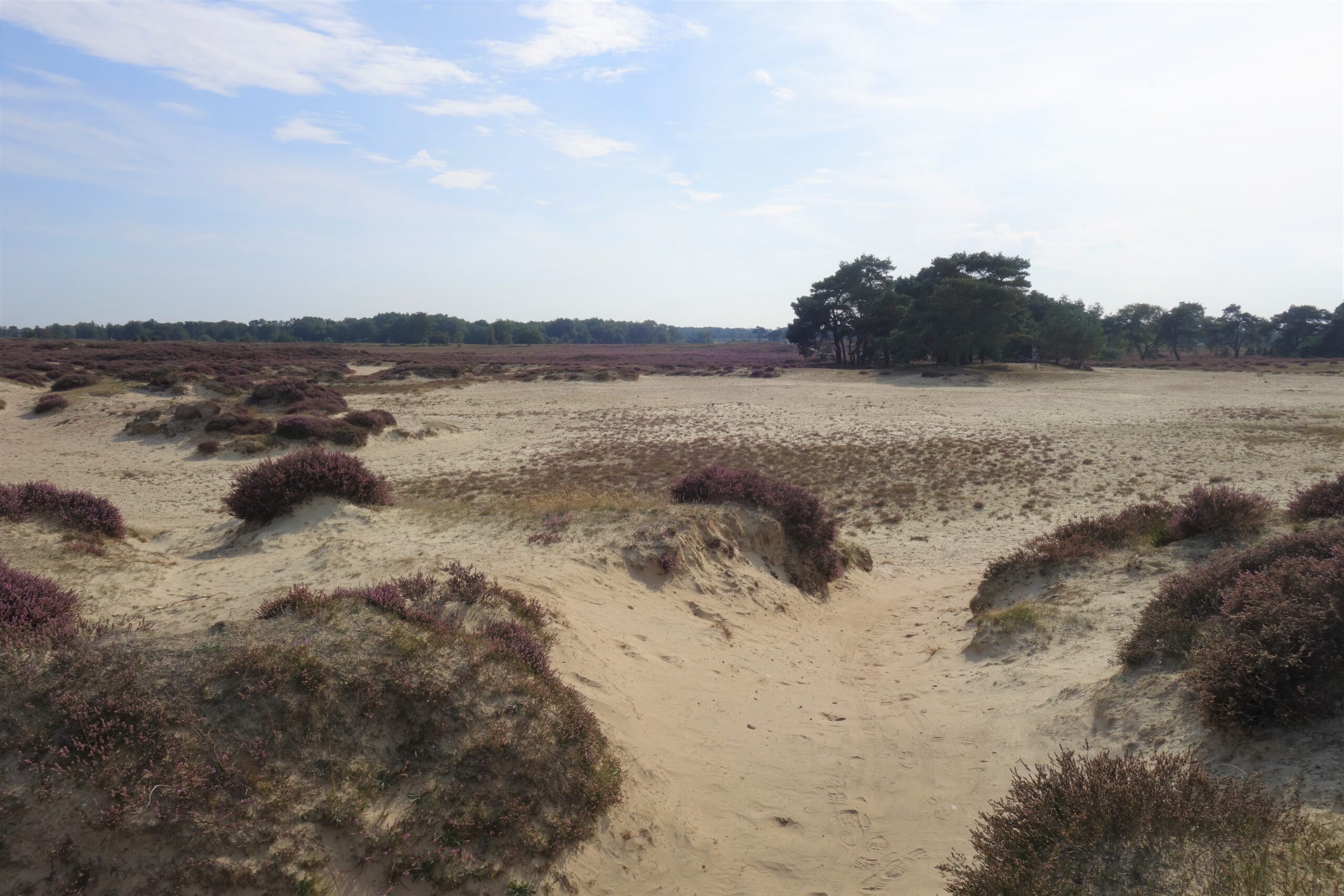 Aardkundige waarden - Landschapsbeheer Drenthe