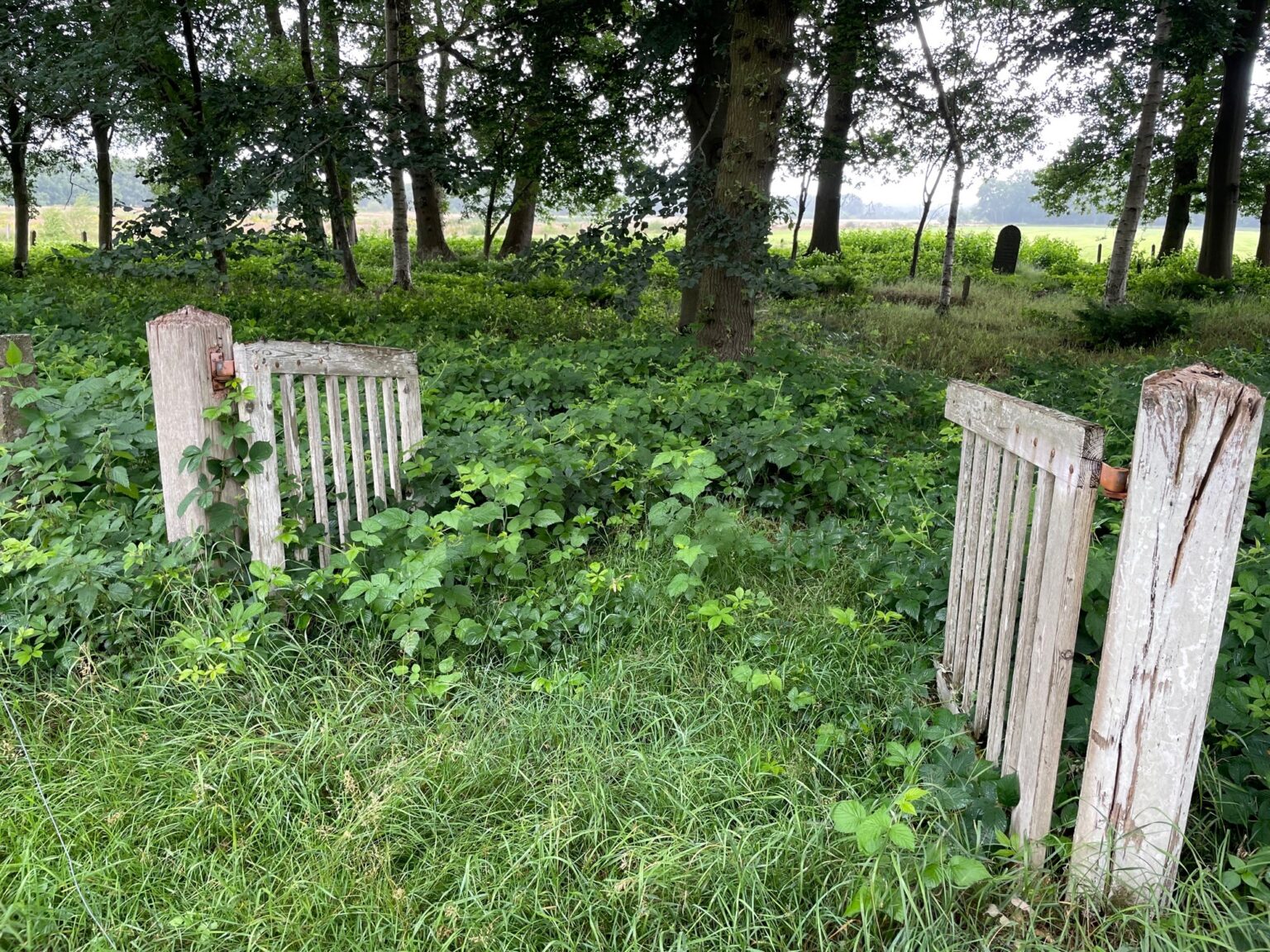 Herstel Joodse begraafplaats Veenhuizen in zicht - Landschapsbeheer Drenthe