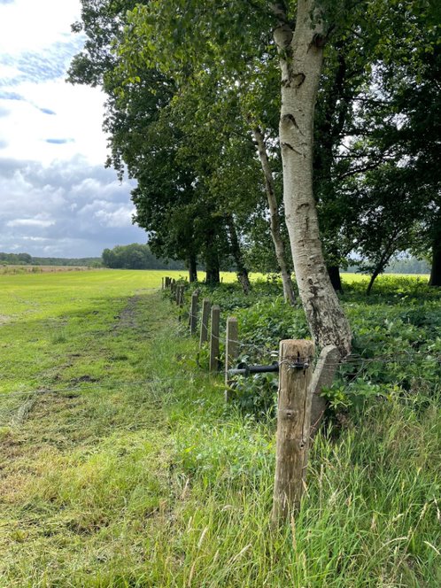 jb - Landschapsbeheer Drenthe