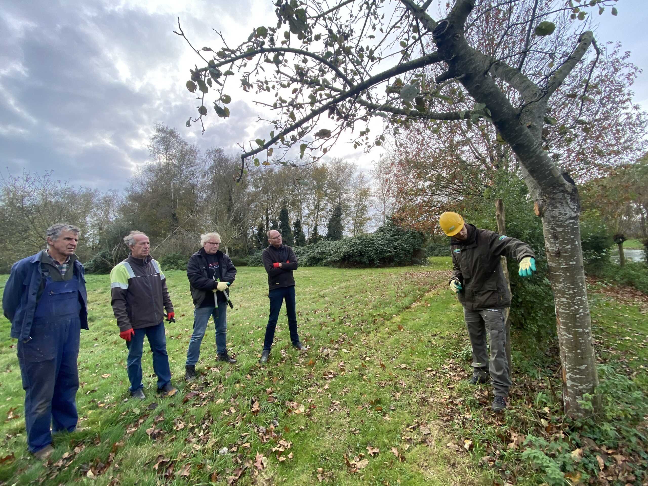 Veiligheidsinstructies - Landschapsbeheer Drenthe