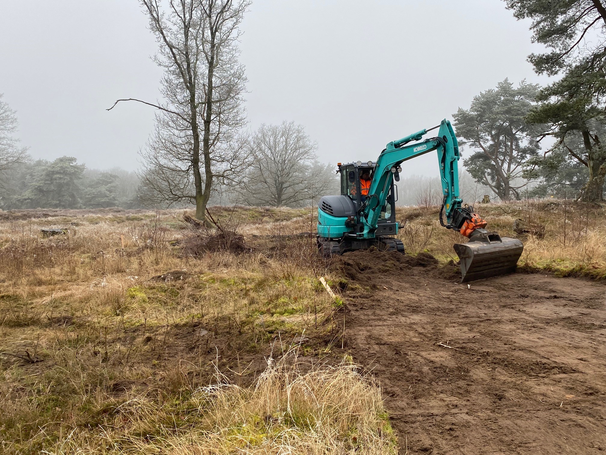 Natuurherstel op de Gasselterheide: hoop voor de heivlinder? - Landschapsbeheer Drenthe