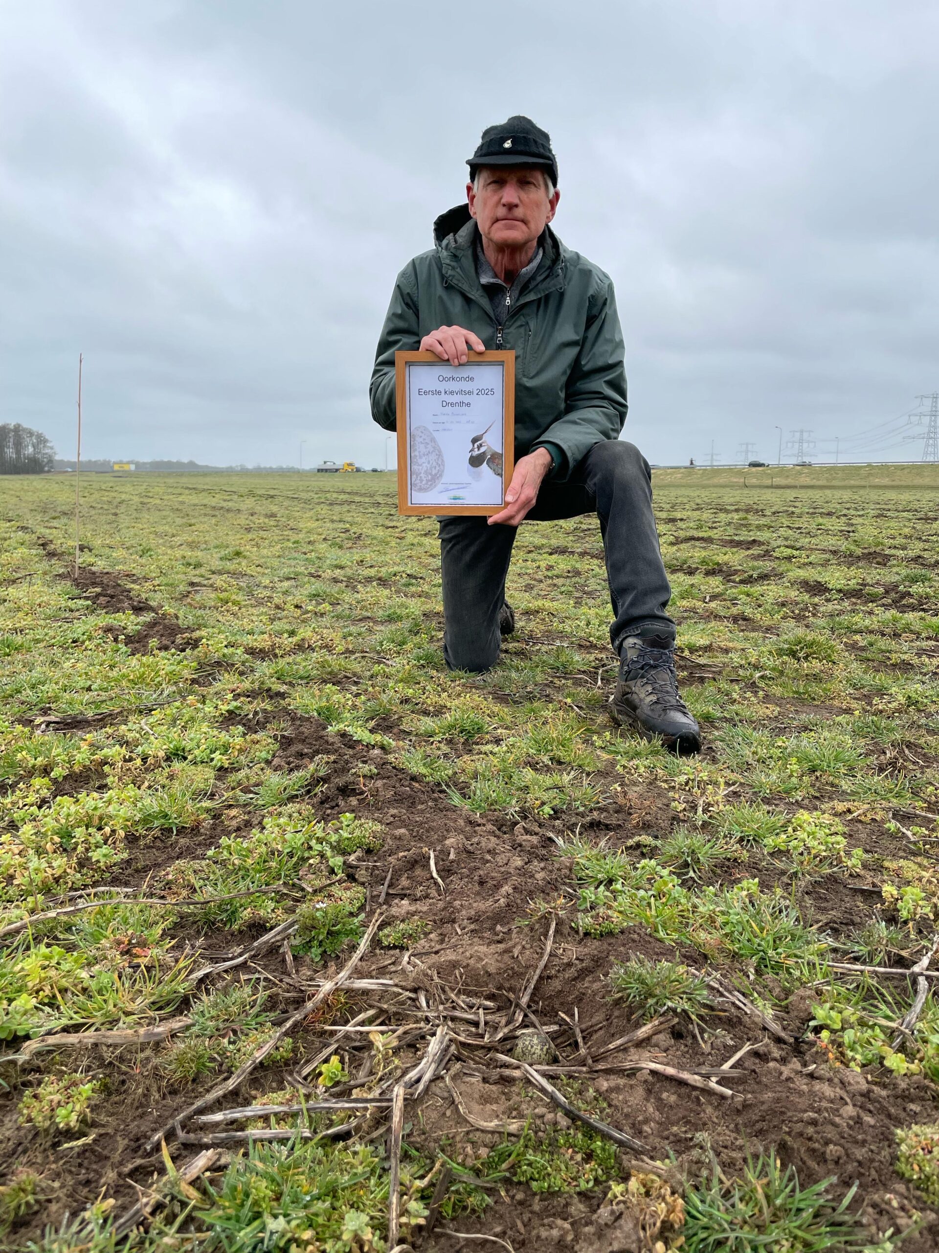 Eerste Drentse kievitsei gevonden nabij Holsloot - Landschapsbeheer Drenthe